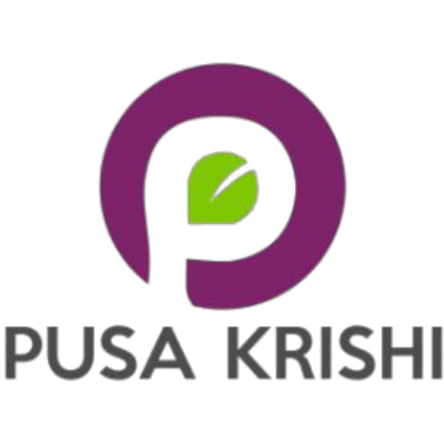 Accubate | Cloud Native Software for Institutions and Individuals